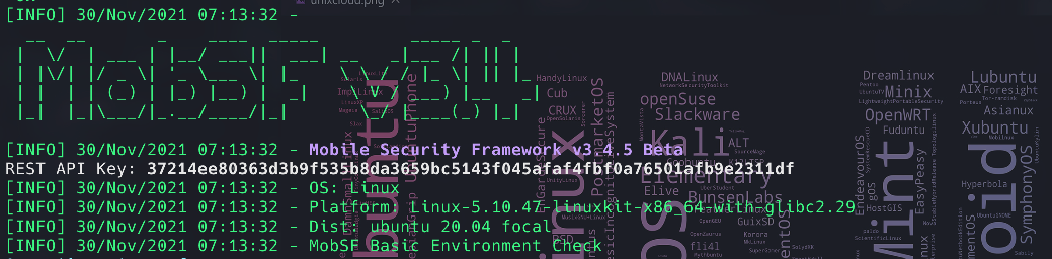 MobSF:移动应用程序自动测试框架 - RDPMind - 博客园