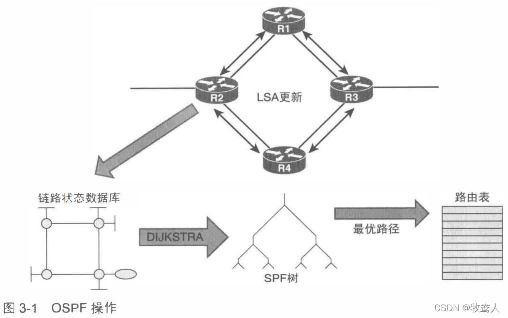 OSPF（Open Shortest Path First，开放最短链路优先）-支付宝开发者社区